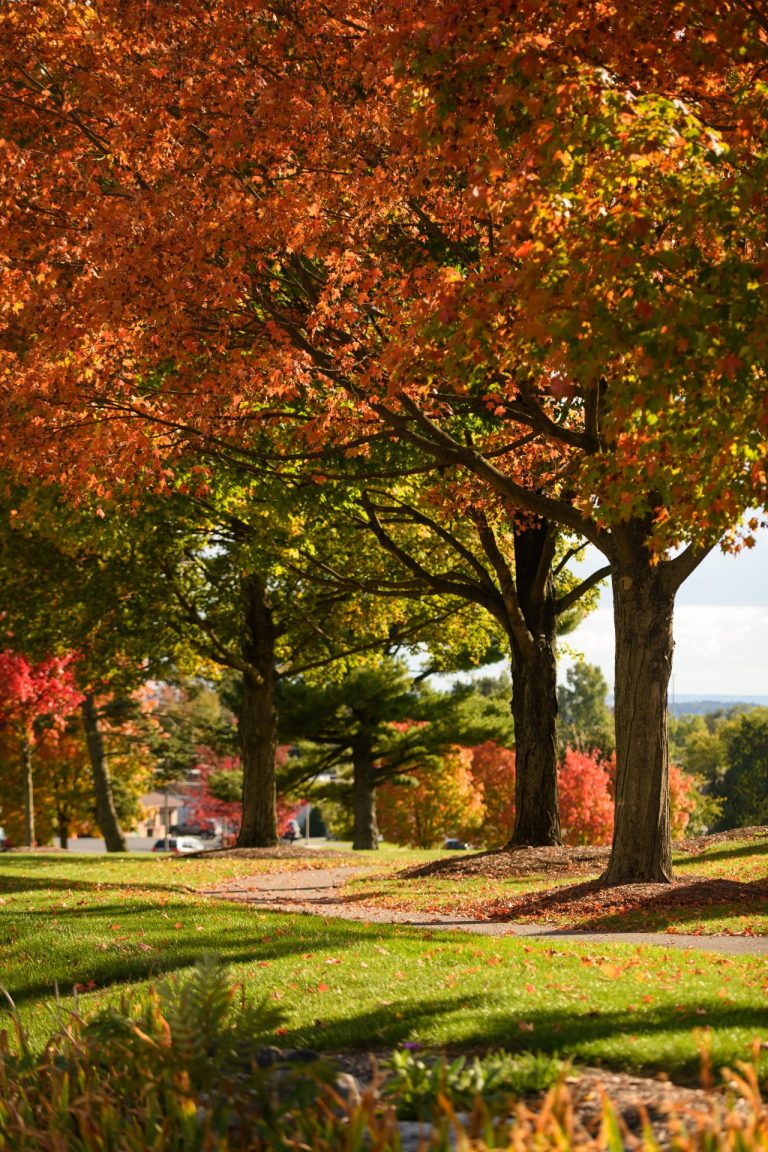 Get To Know Us - Maple Farm